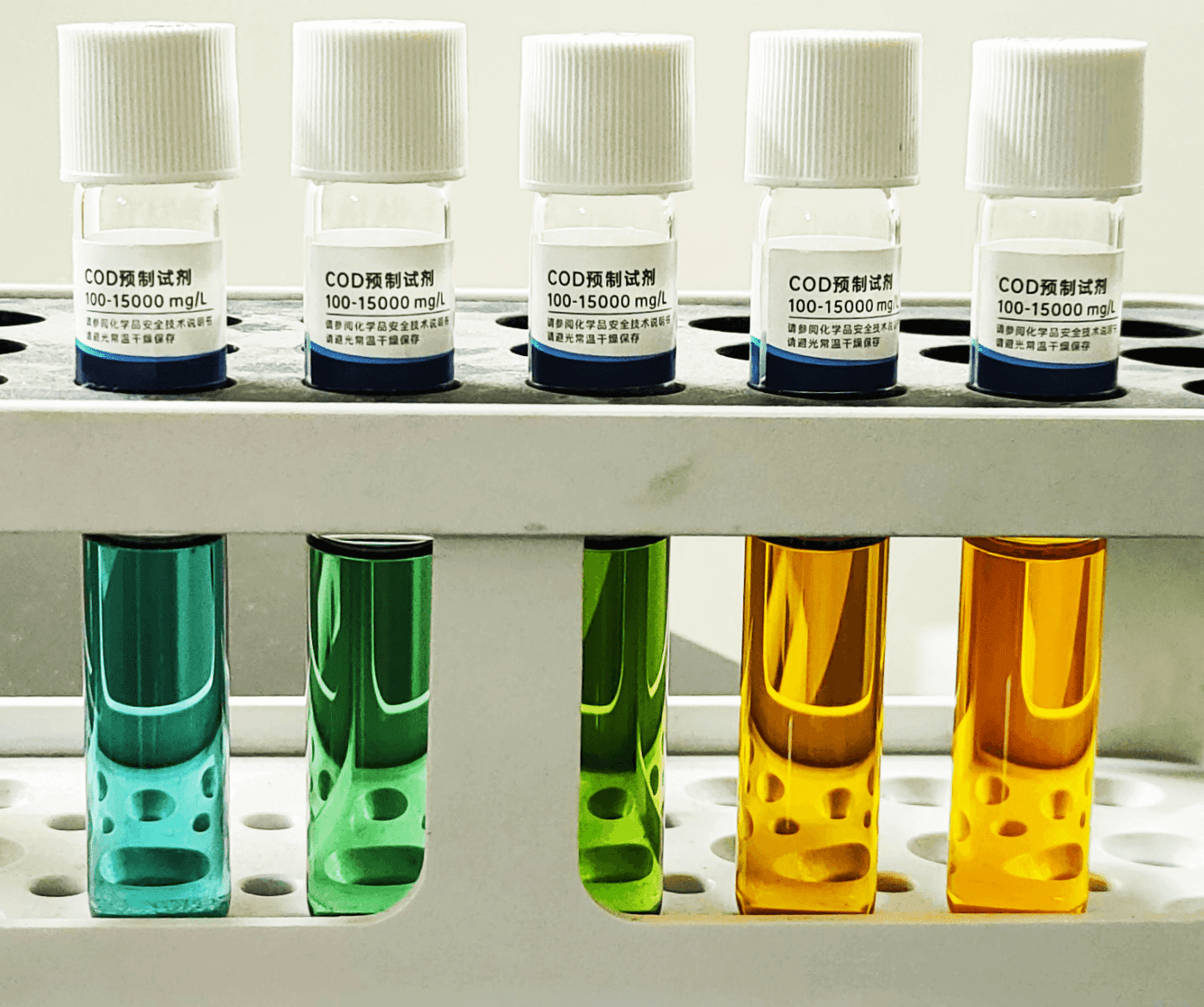 Wastewater Treatment Plant (ETP) Audit - Kingsley Group